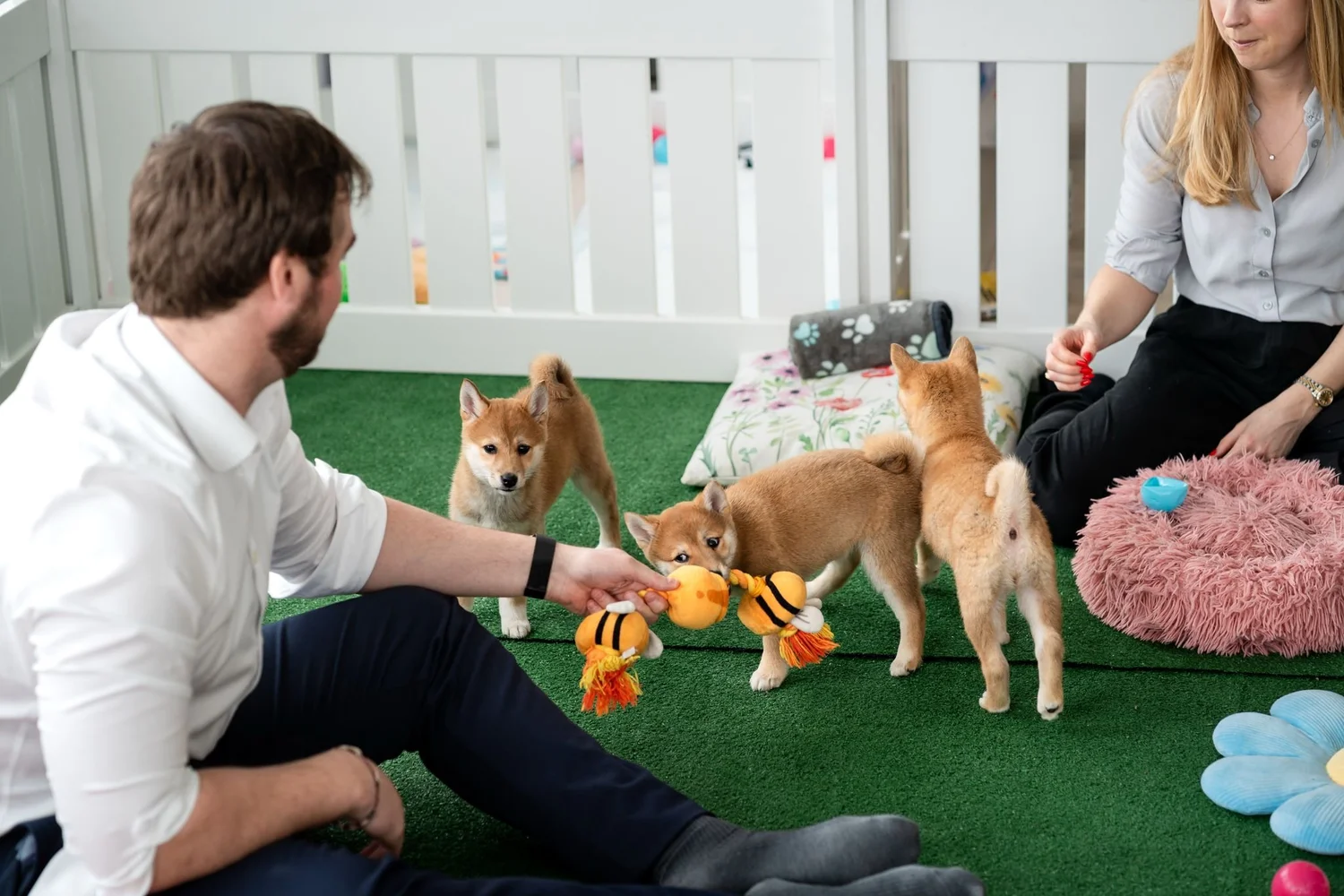 Puppy Therapy At Work — The Together Collective