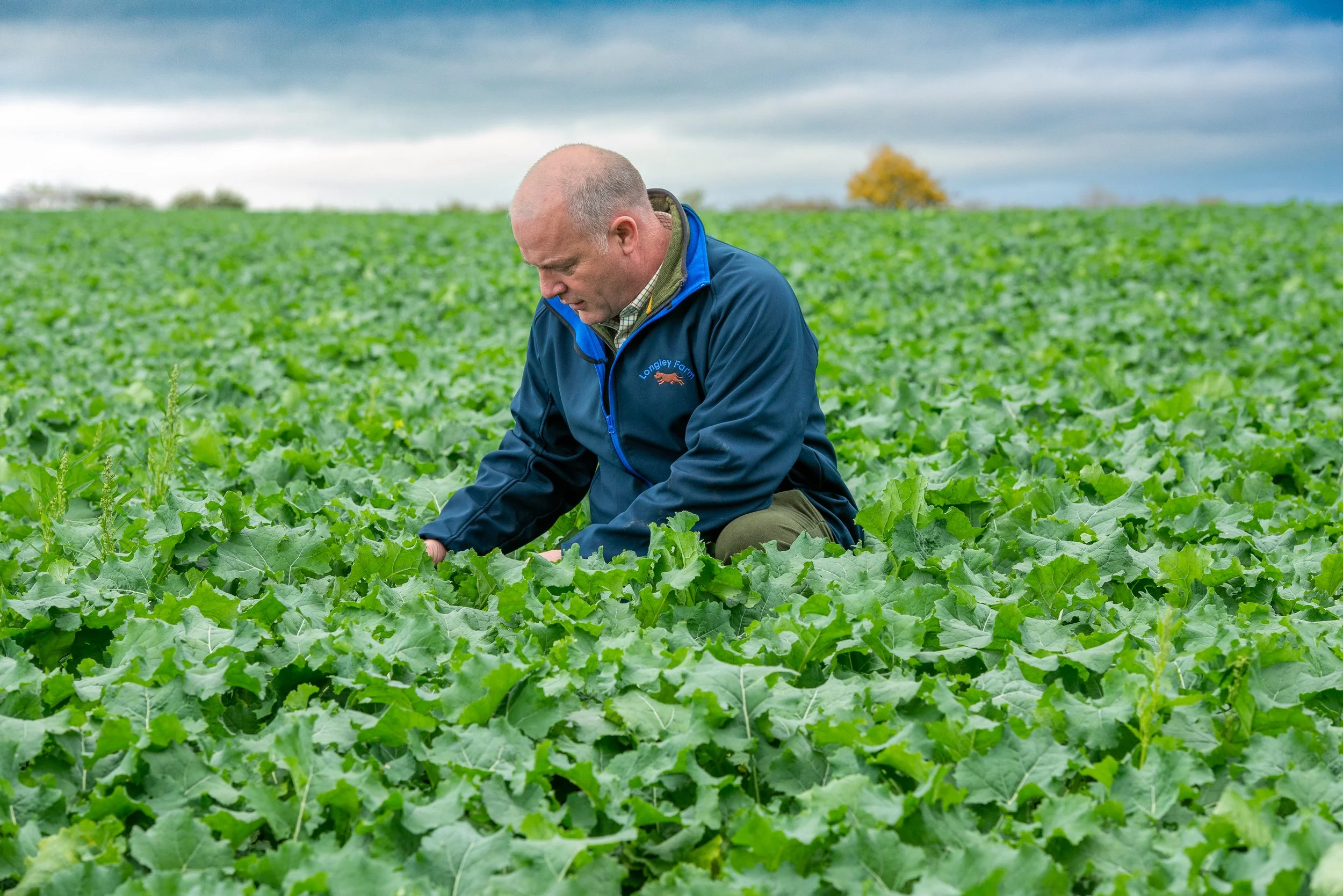 Gallery 3 — Tyers Hall Farm