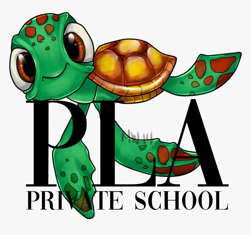 About us — PLASchool