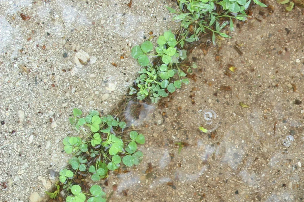 FLOW ALIGNMENT — KatieHelms