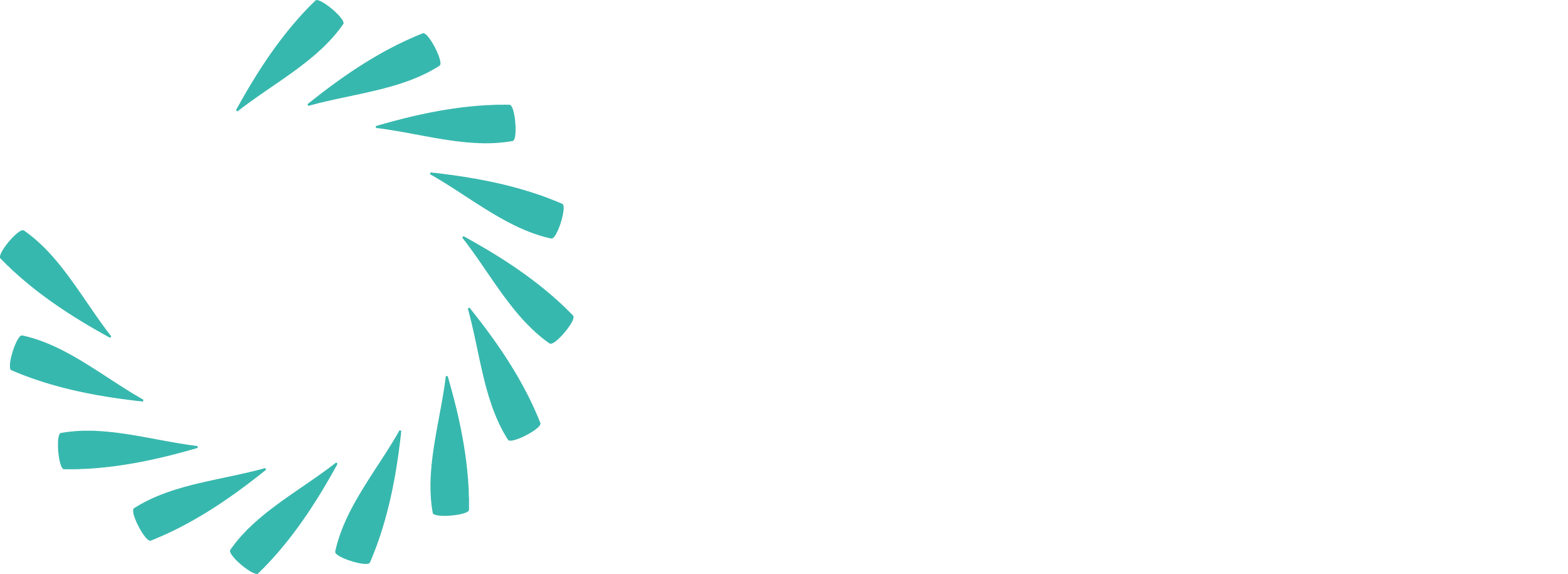 Ed Gemmell — Climate Party