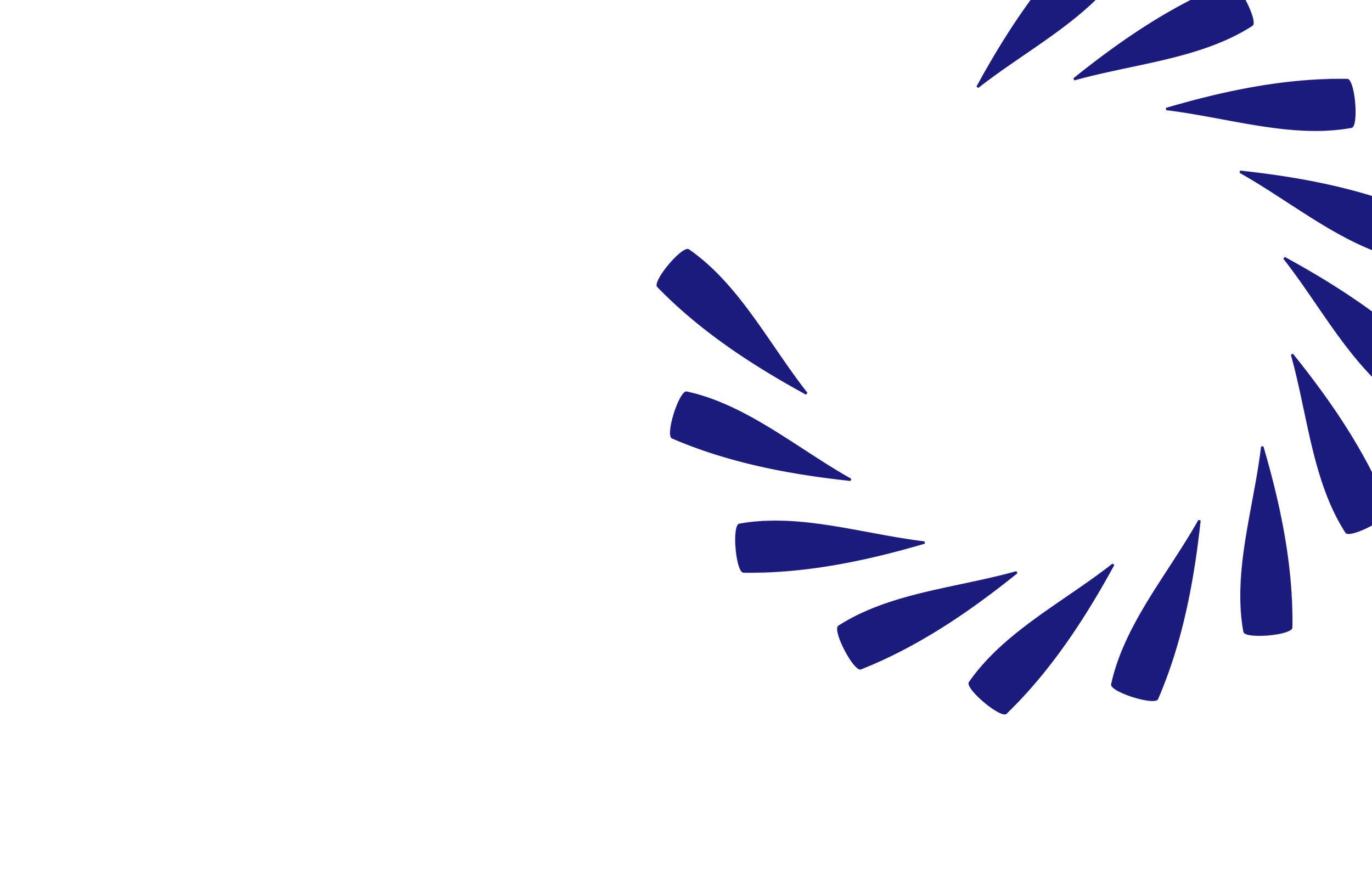 Team — Climate Party