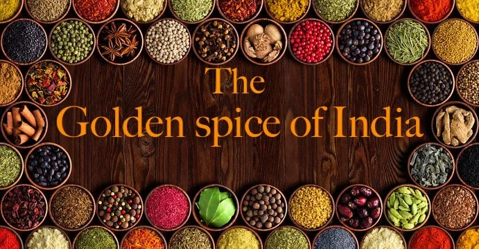The Golden Spice of India — Checkpoint 221