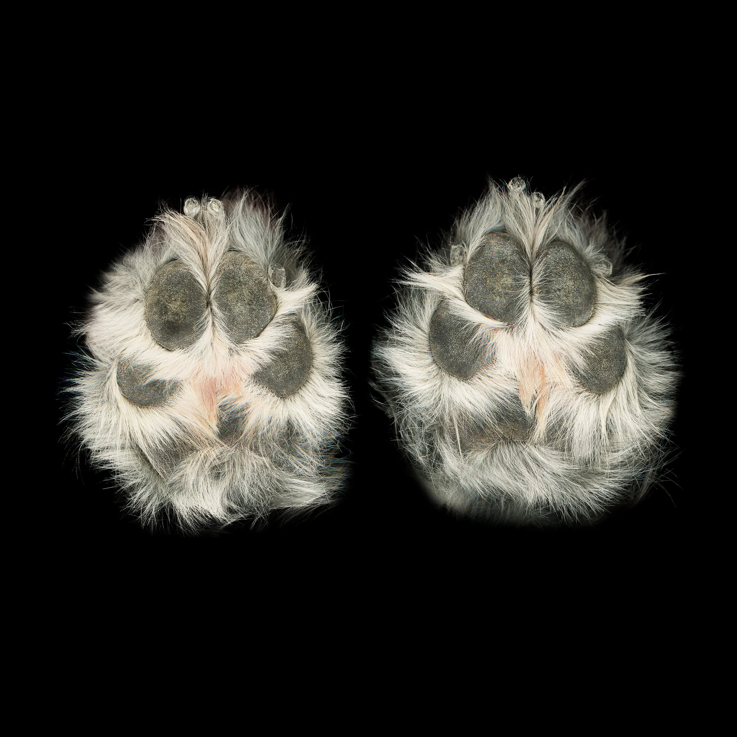 Camille West Photography