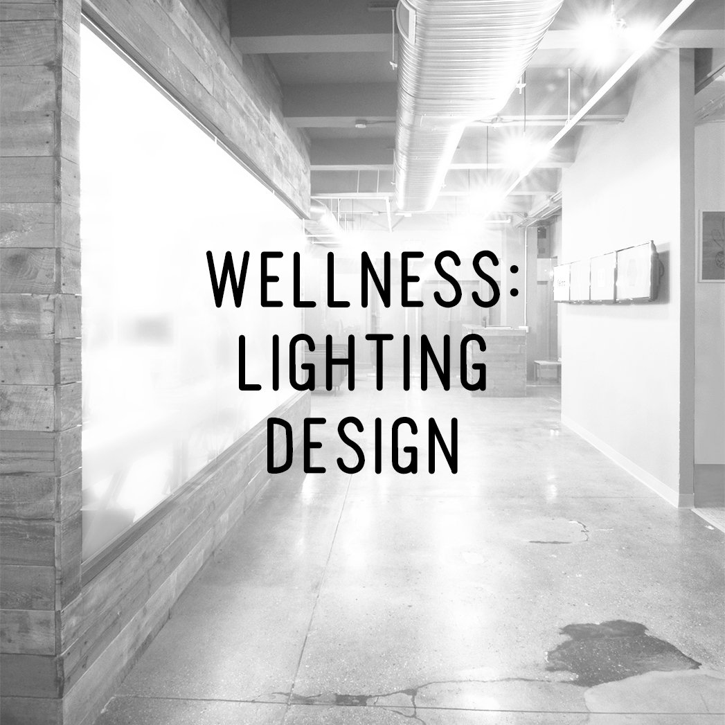 Thoughts — EDA - Echo Design + Architecture