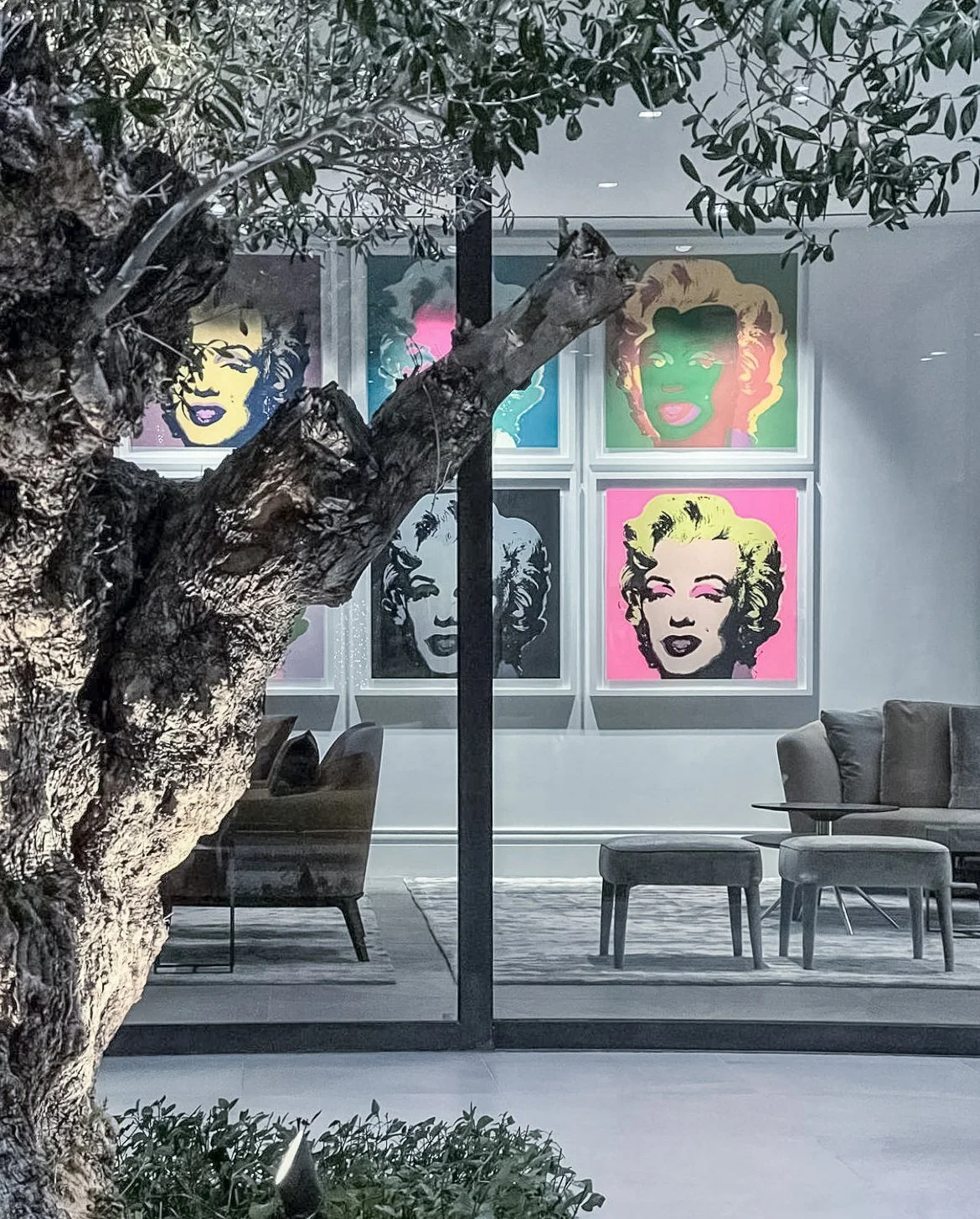 EDA - Echo Design + Architecture