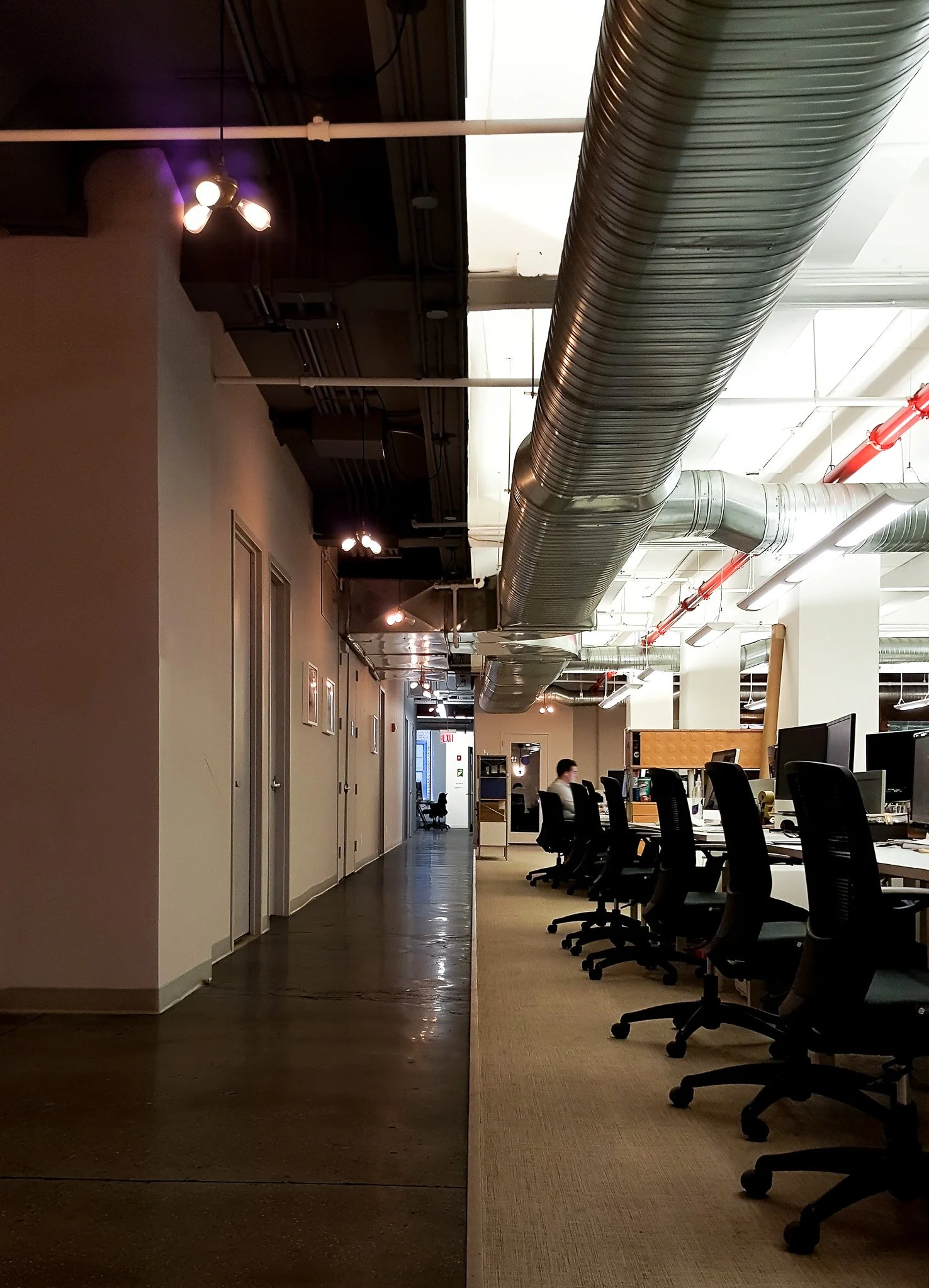 Wellness in Design : Lighting Design — EDA - Echo Design + Architecture