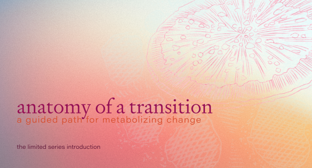 Anatomy of Transition: Your Introduction to this Limited Series ...