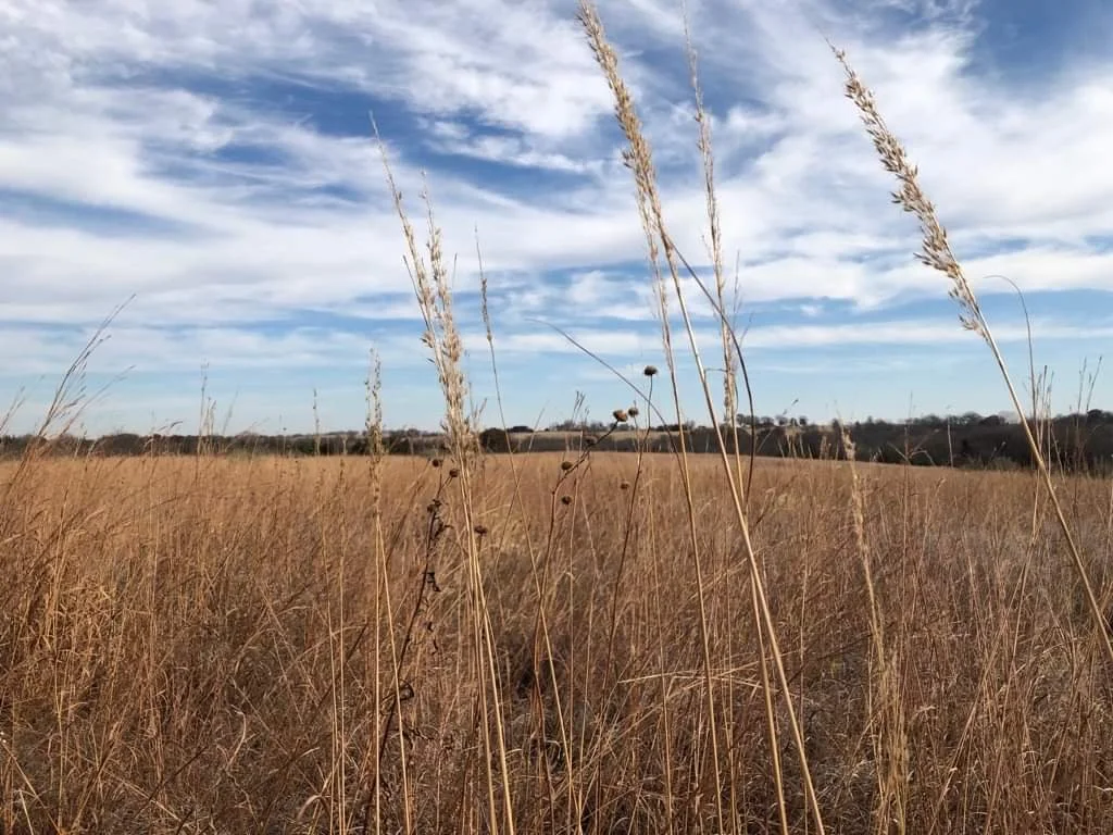 CRP — Kansas Pheasants Forever & Quail Forever