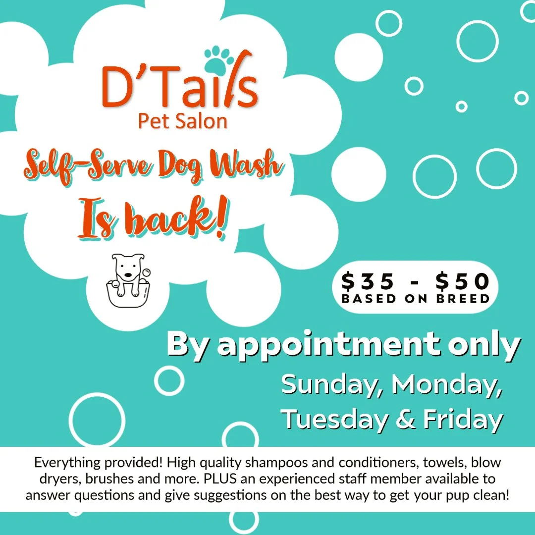 Services — D'tails Pet Salon