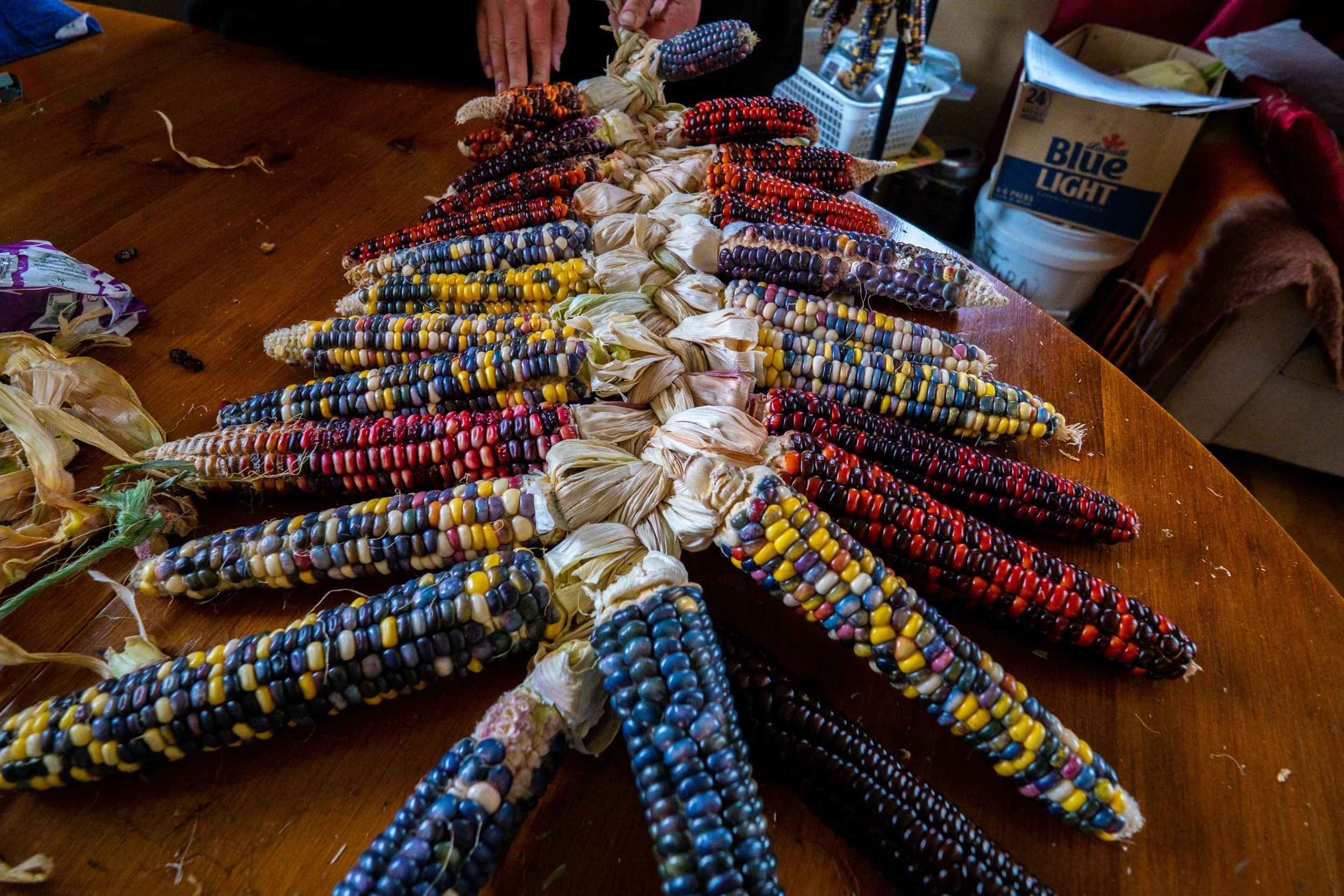 Food Sovereignty — Anishinaabe Agricultural Institute