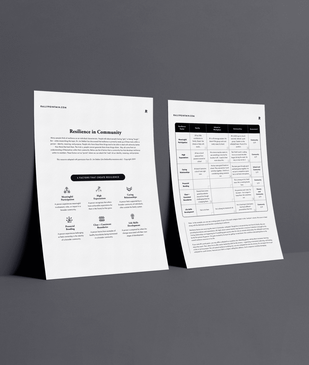 Resilience Assessment Matrix — Rally Point Counseling