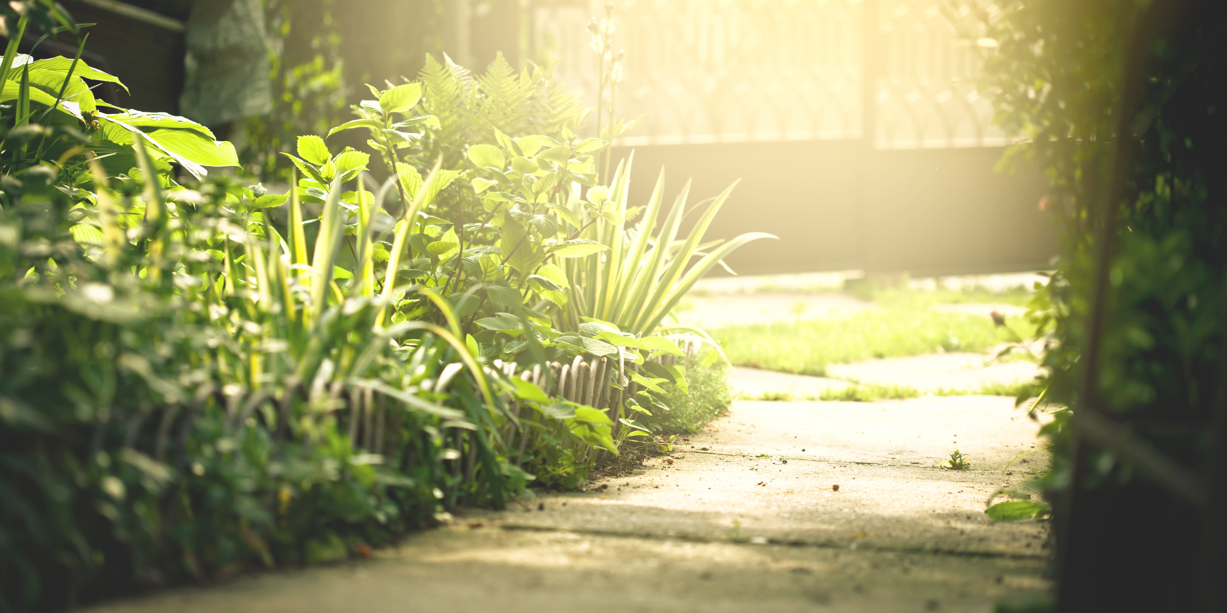 Tigers Landscape & Construction | Gig Harbor Landscapers