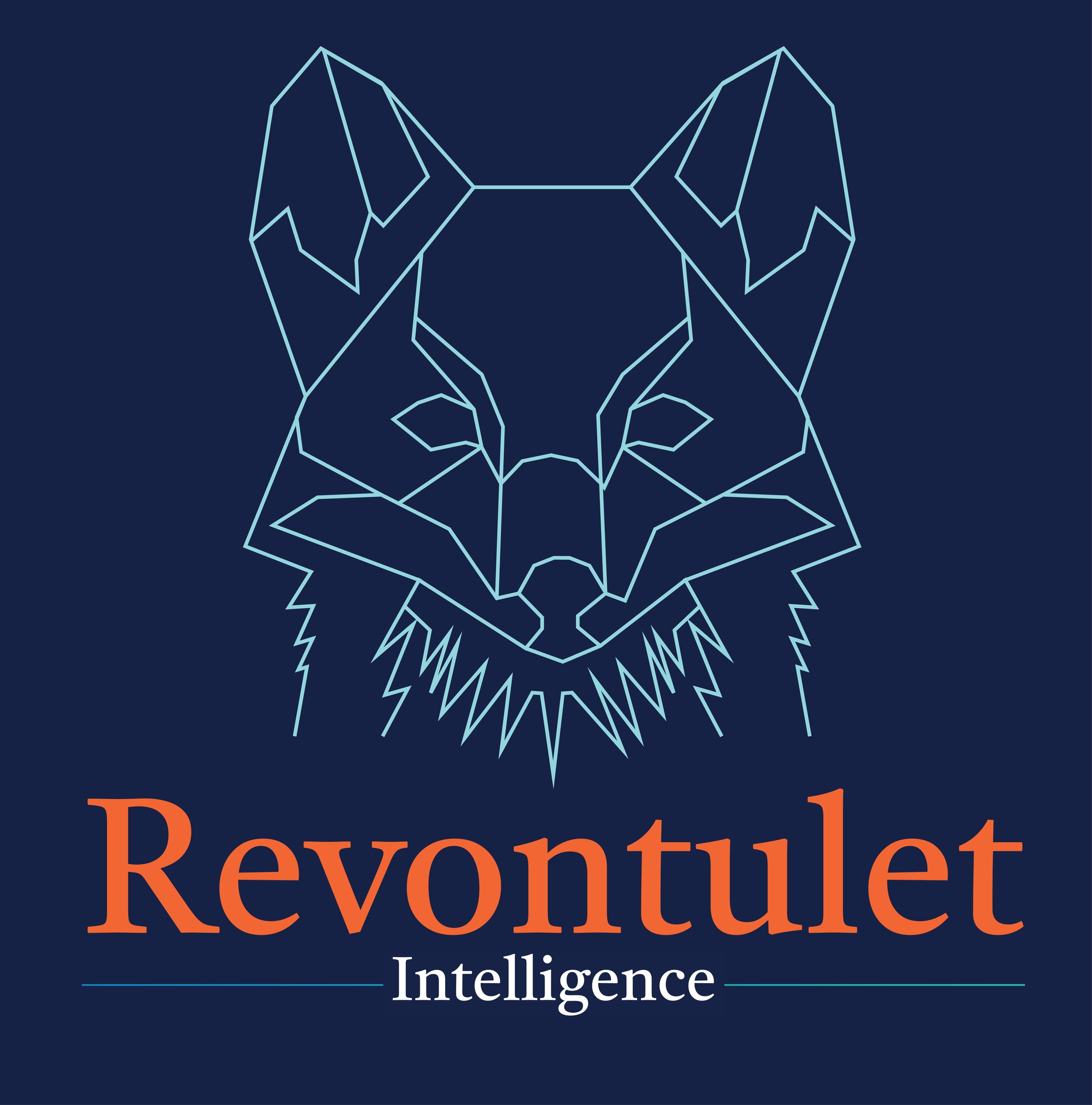 Revontulet Home