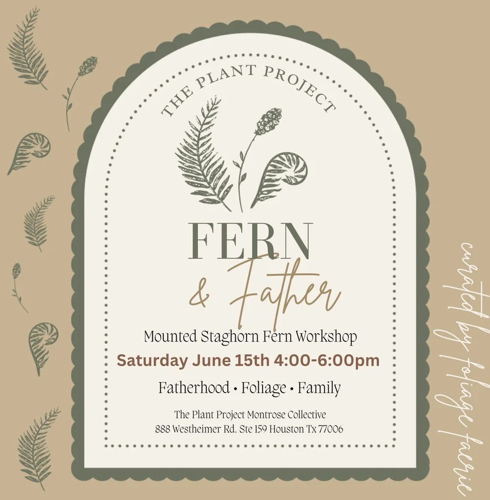 The Plant Project-Your Neighborhood Plant Shop