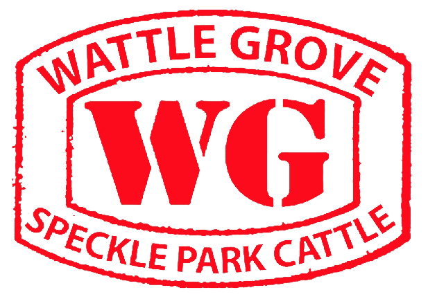 Wattle Grove