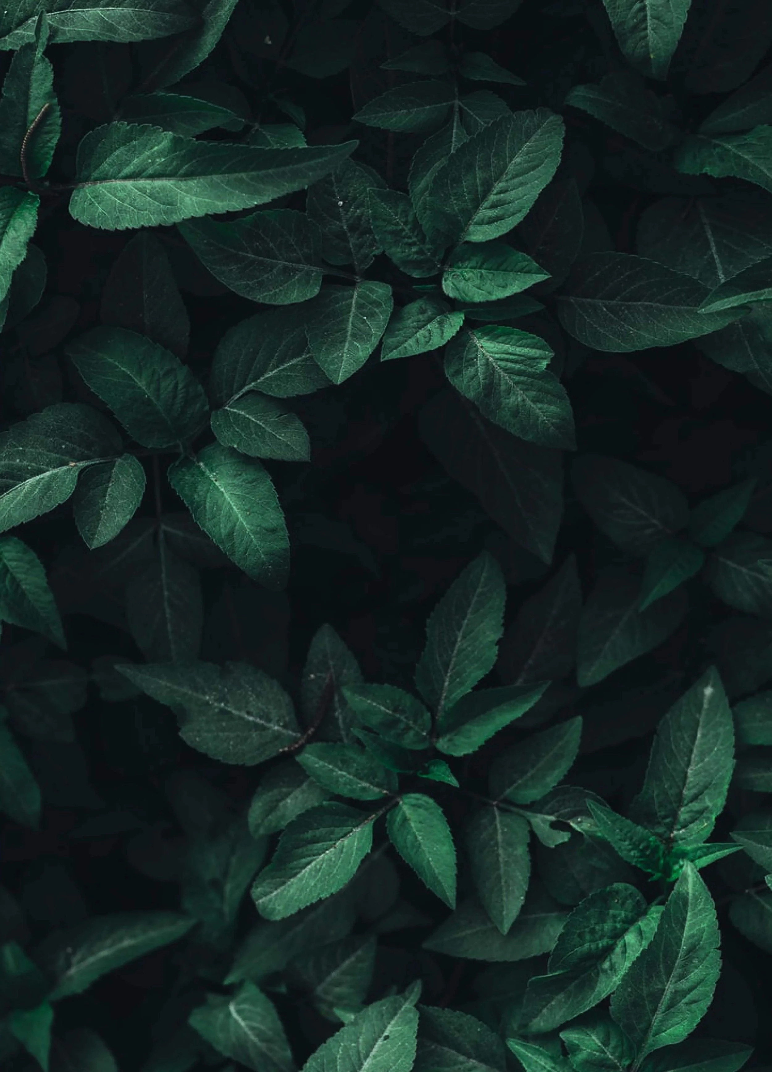 The Environmental Printing Co. | Perth, Western Australia | Recycled ...