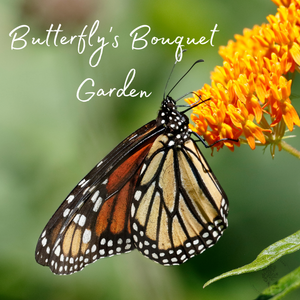 Native Blooms Box CSA