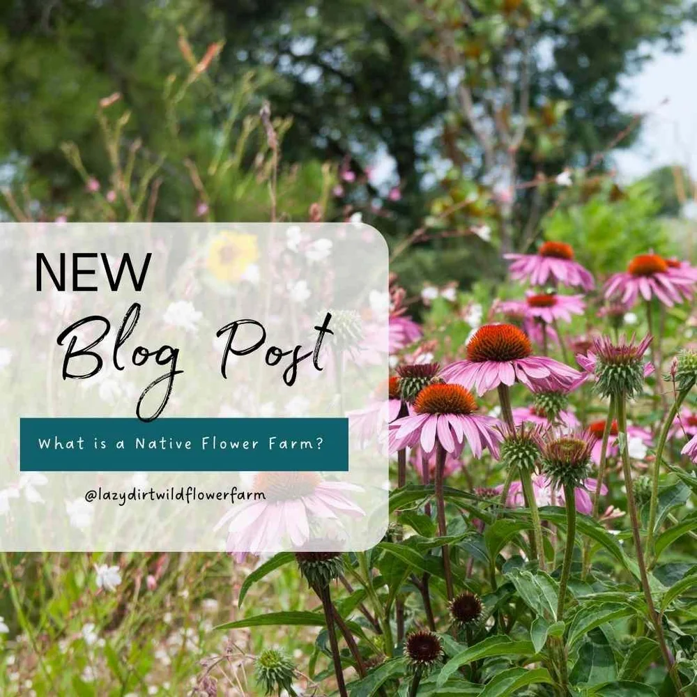 Gardening with Native Plants