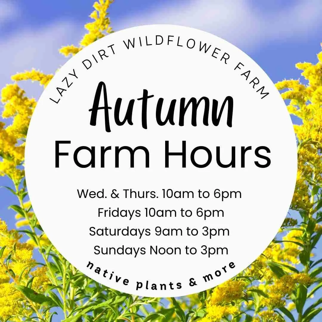 FAQ about our native flower farm