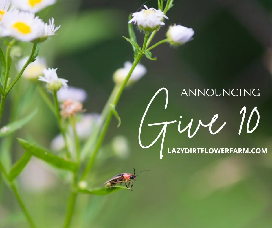 Lazy Dirt Native Flower Farm