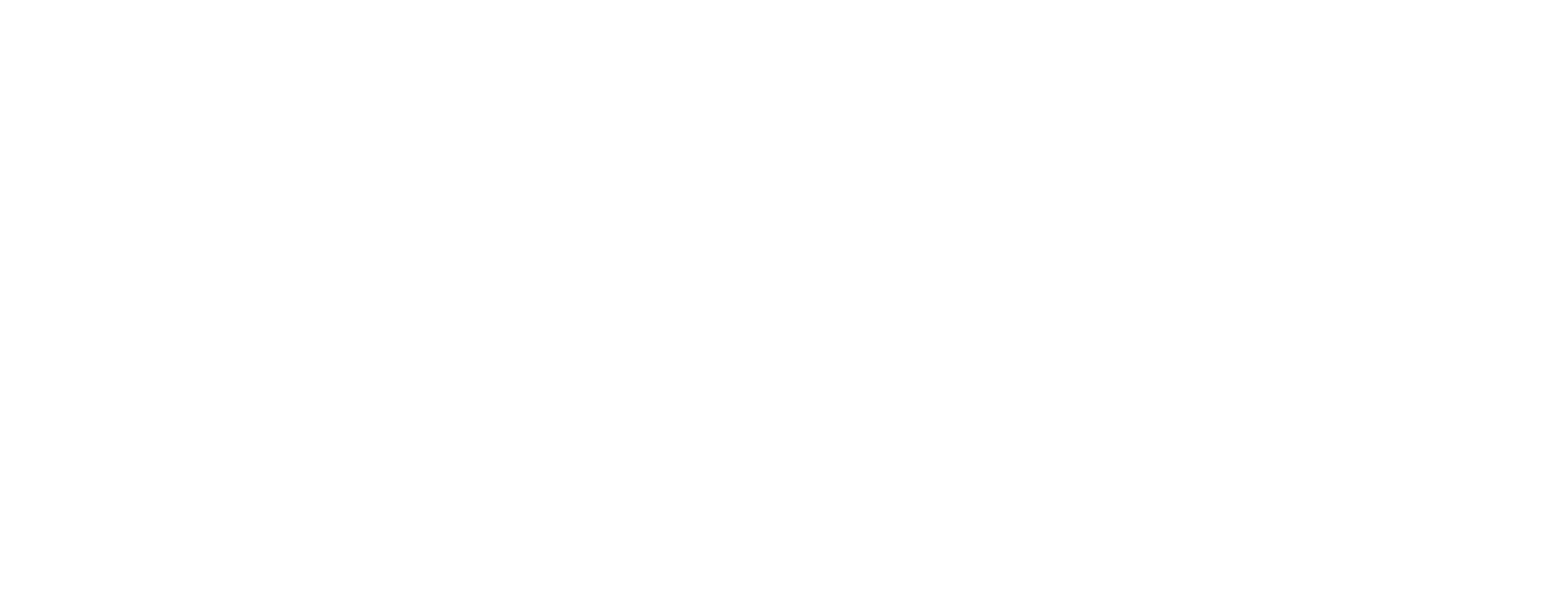 Bodysmart Health& Performance