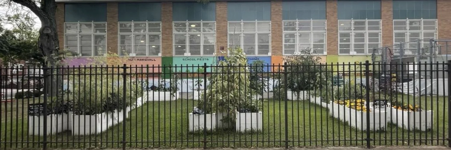 PS276