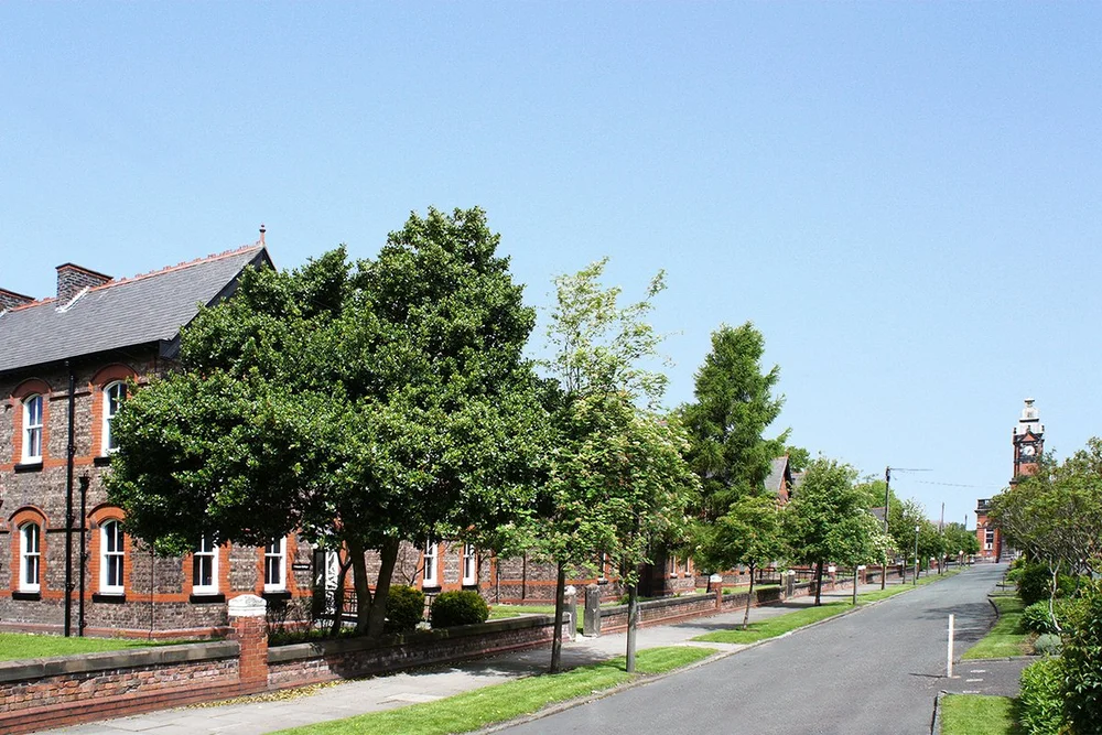 Clock Tower Park — Next Big Thing Developments