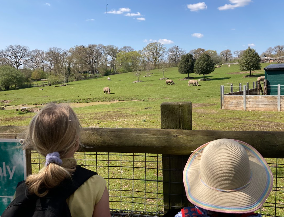 Marwell Zoo — Holy Family Catholic Primary School