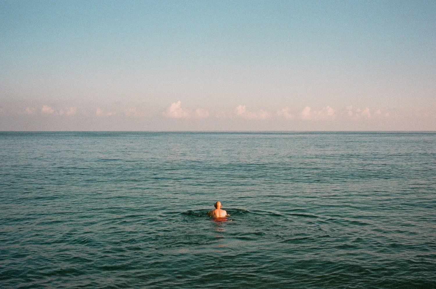 Joe Gardner