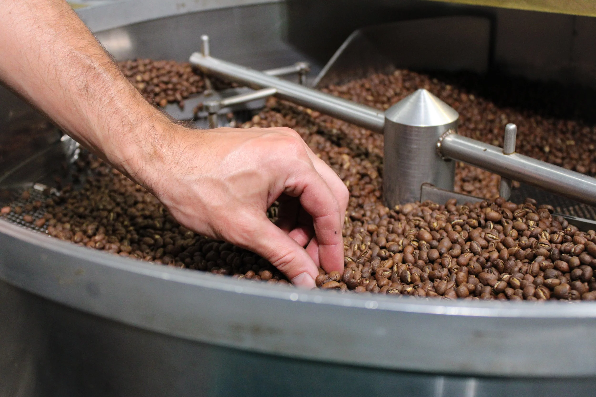 Wholesale | Elevate Your Coffee Business — Get Started Today — Hyperion ...