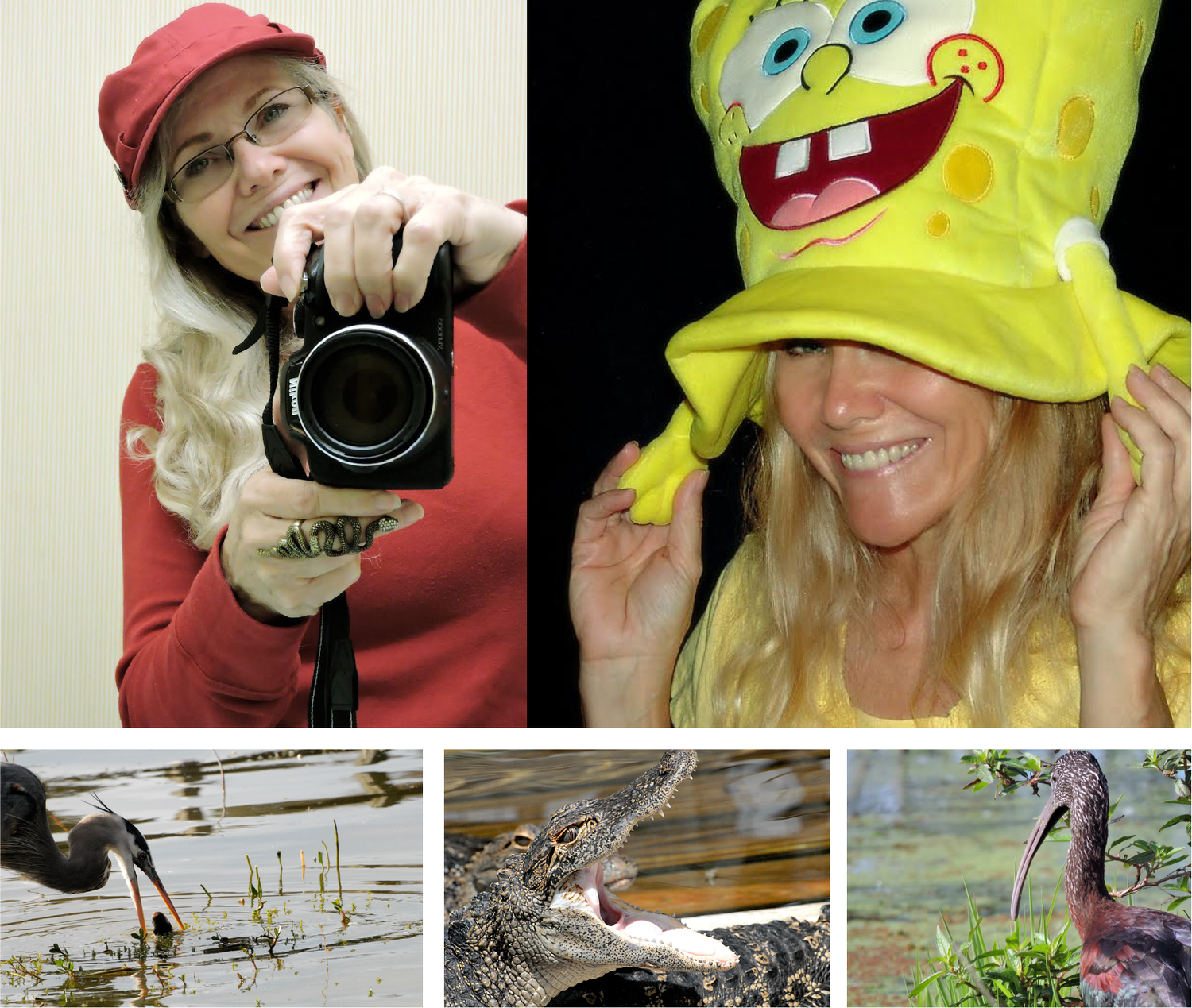 FOWR Member Spotlight - Cindy Newton — Friends of the Wekiva River