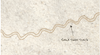 Sand Skinks — Friends of the Wekiva River