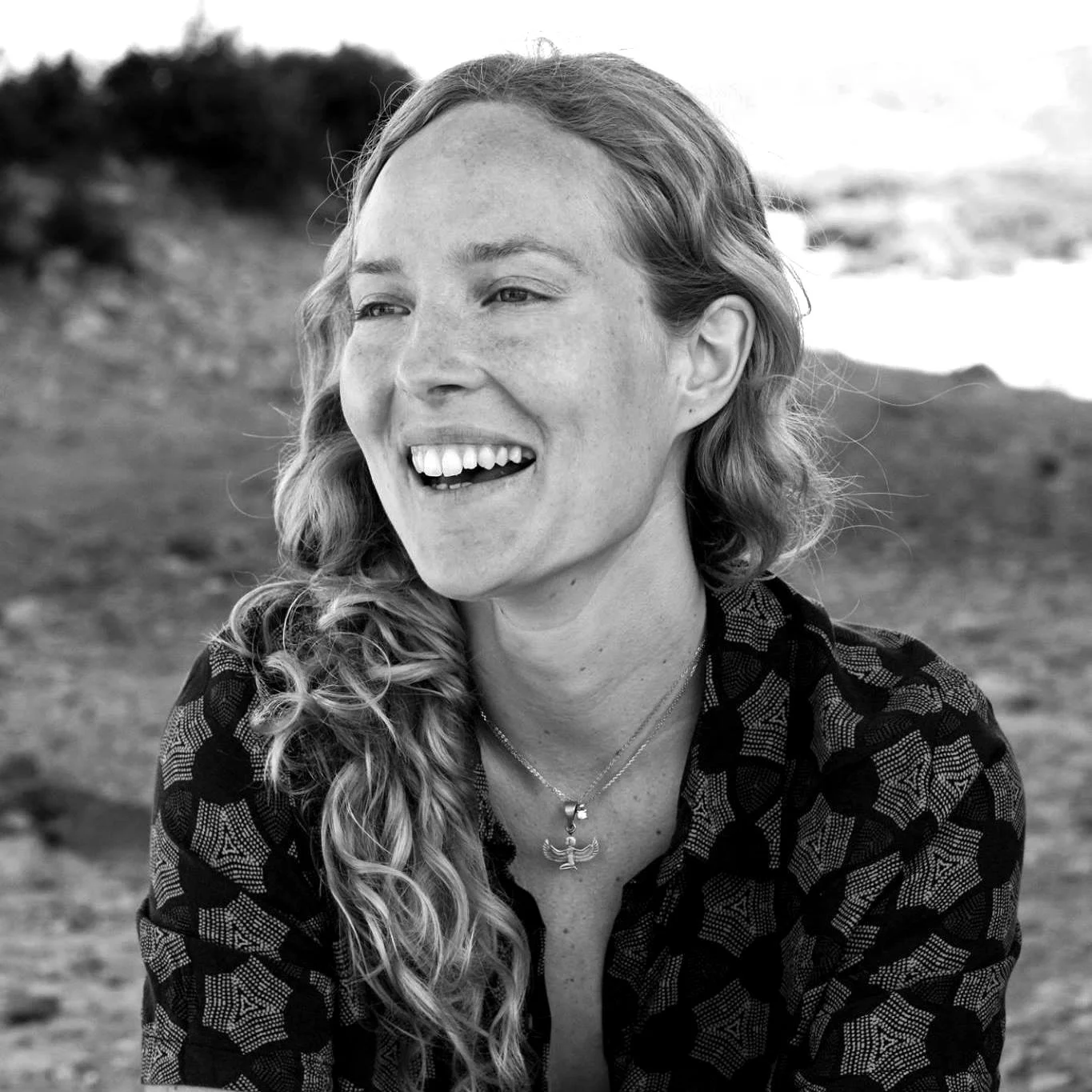 About Stellar Folk — Stellar Folk