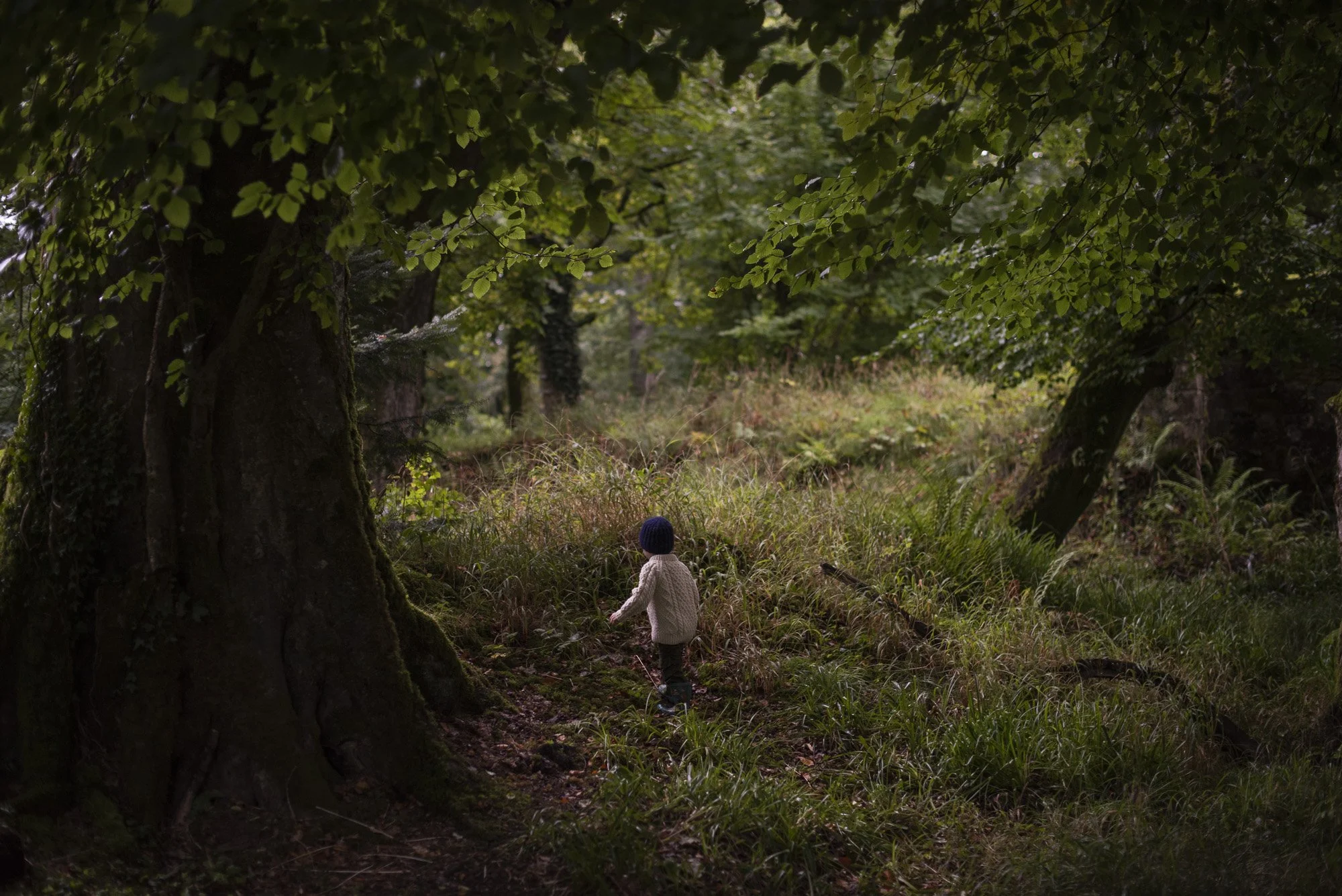 On the Estate — Ashbrooke House