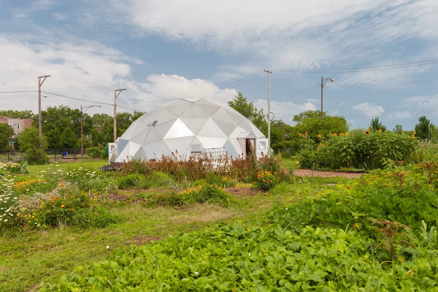Our Farms — Urban Growers Collective