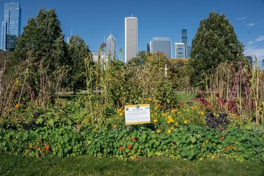 Our Farms — Urban Growers Collective