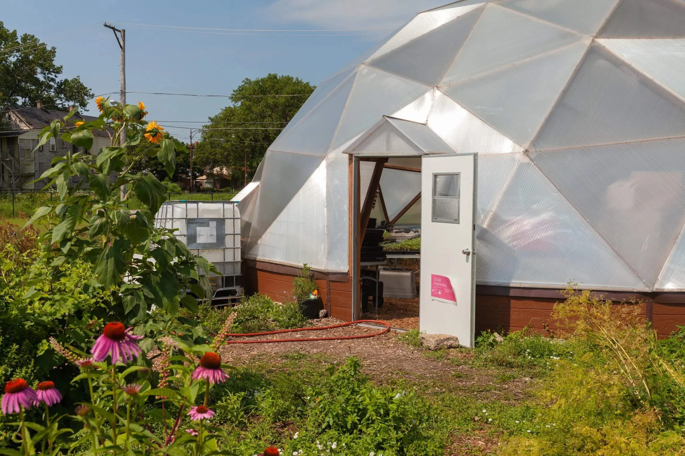 Our Farms — Urban Growers Collective