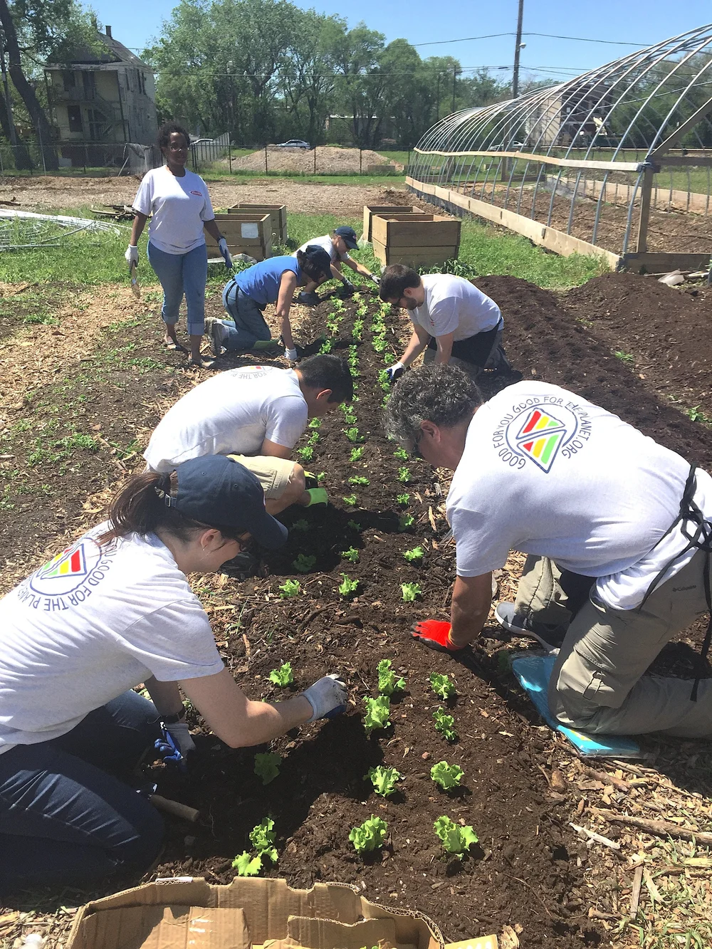Tour & Volunteer — Urban Growers Collective