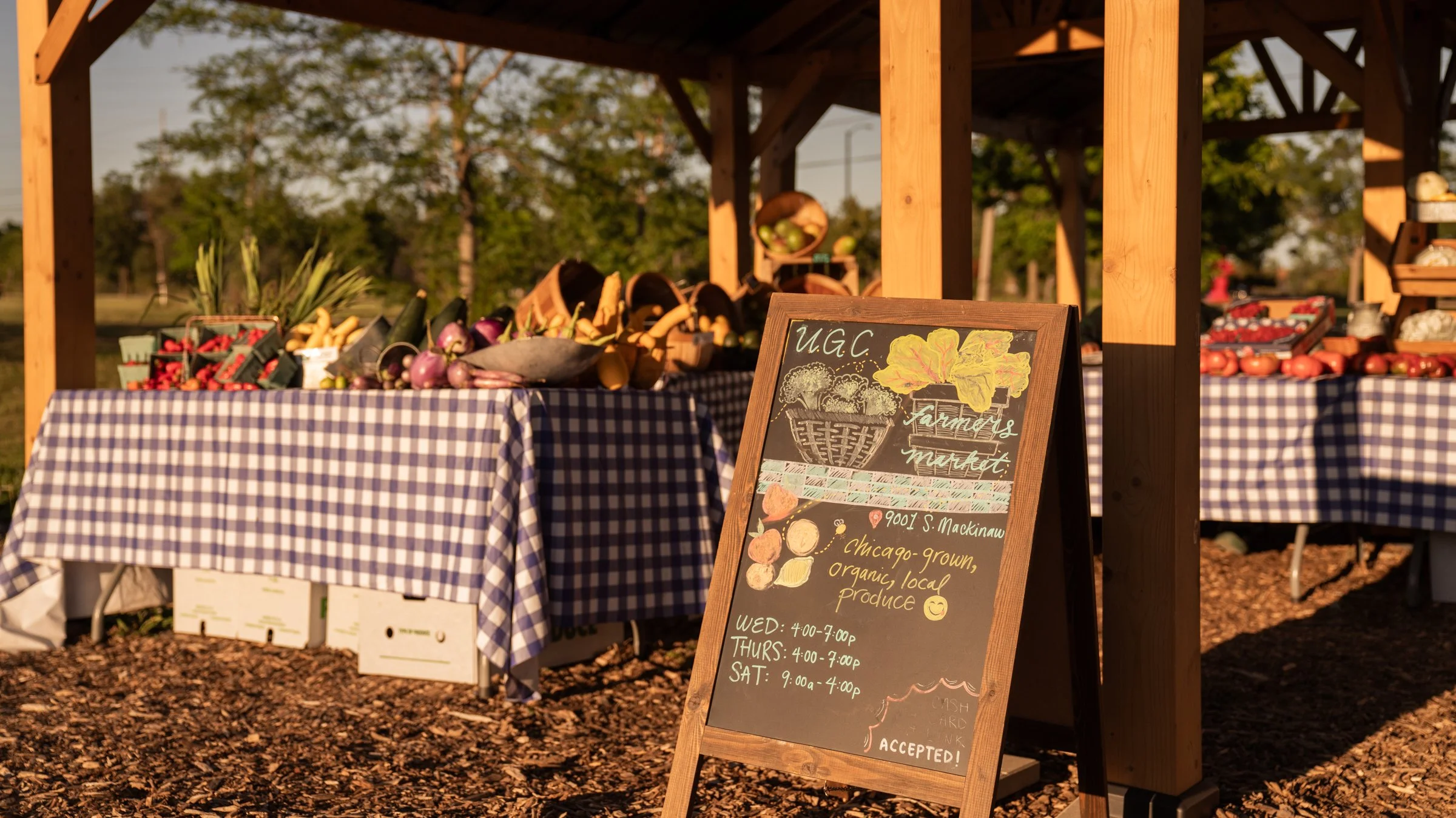 Urban Growers Collective — Chicago Urban Farm