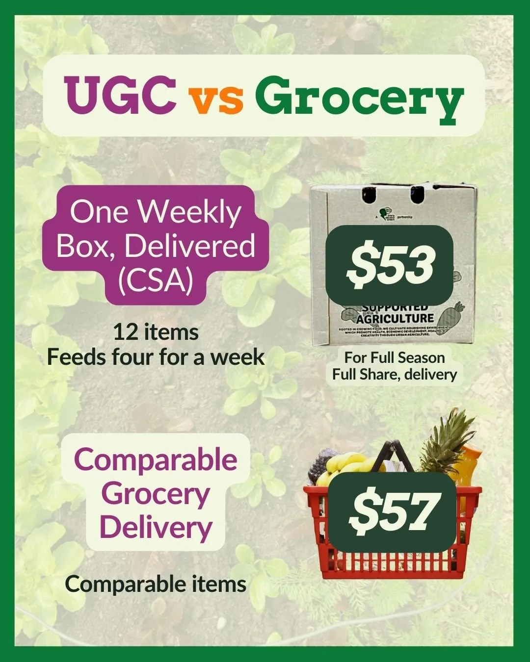 Chicago's Local CSA — Urban Growers Collective