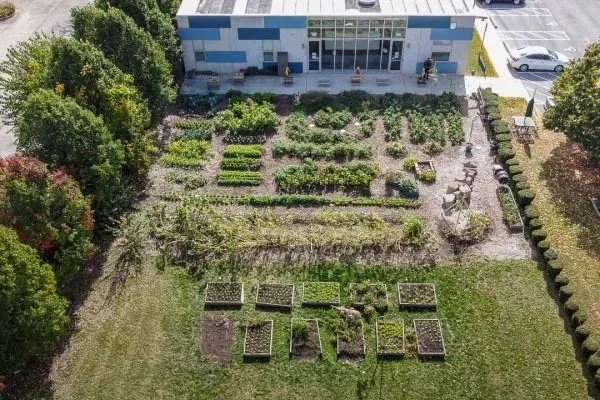 Our Farms — Urban Growers Collective