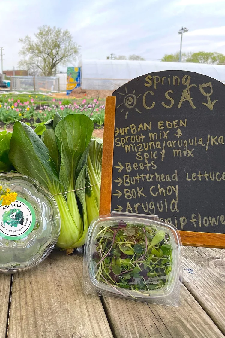 Chicago's Local CSA — Urban Growers Collective