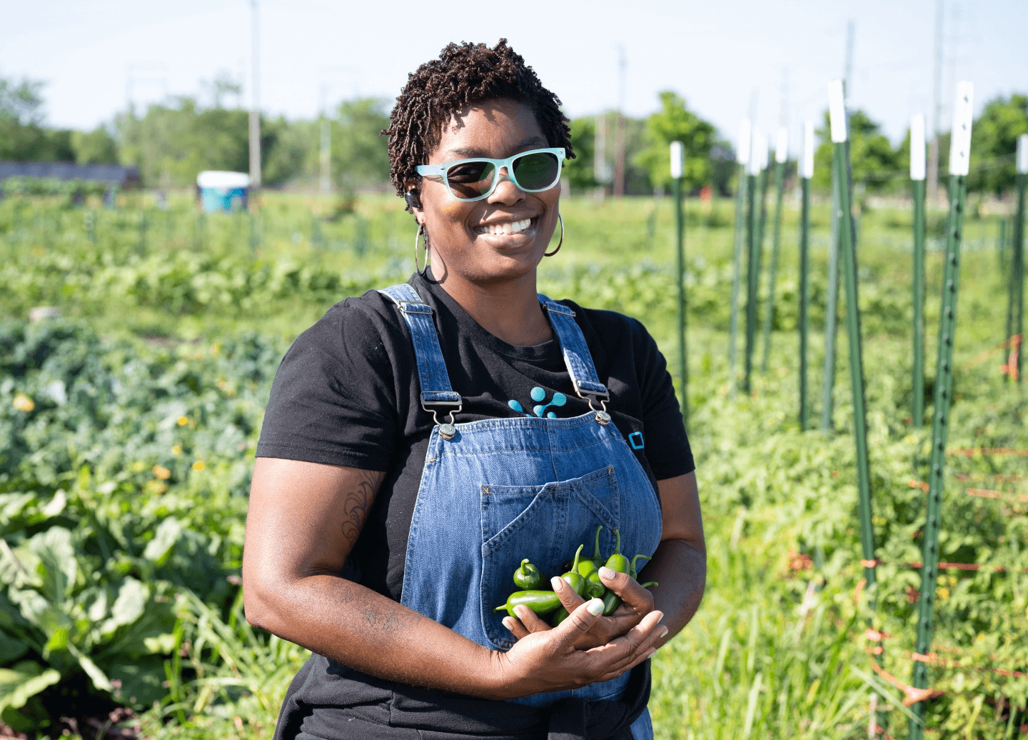 Grower Apprenticeship — Urban Growers Collective