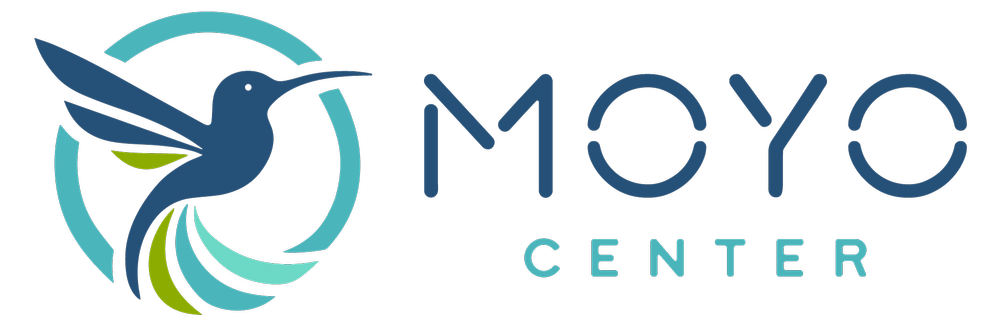 The Moyo Center — African Education Program