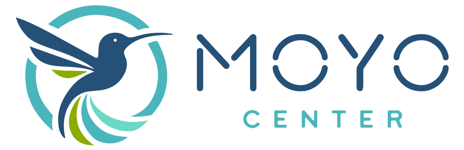 The Moyo Center — African Education Program