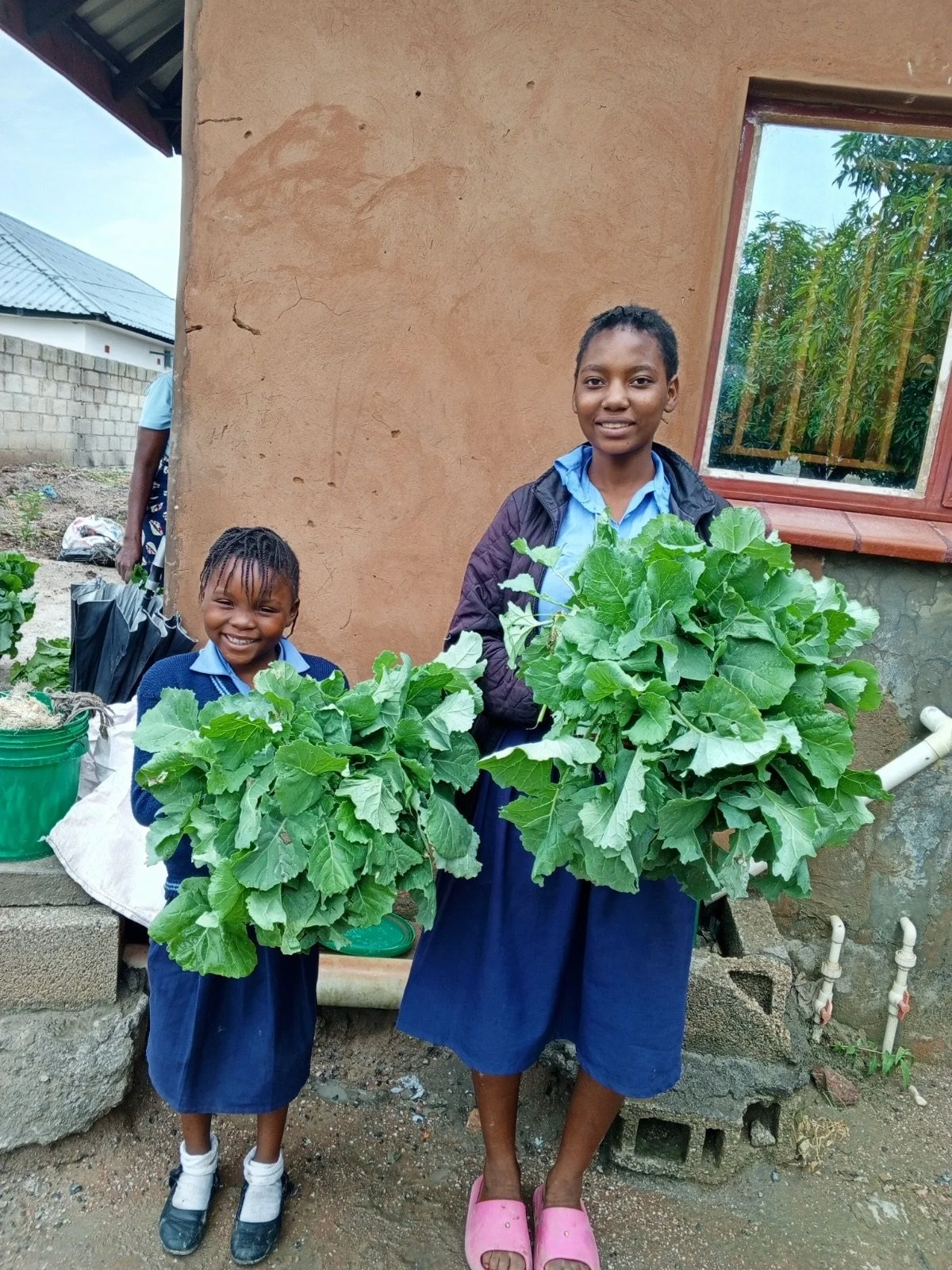 Special education — African Education Program