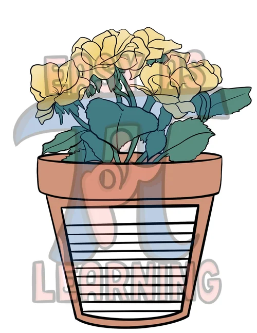 Linear Patterns (Discover Linear Equations) — EASY AS PI LEARNING