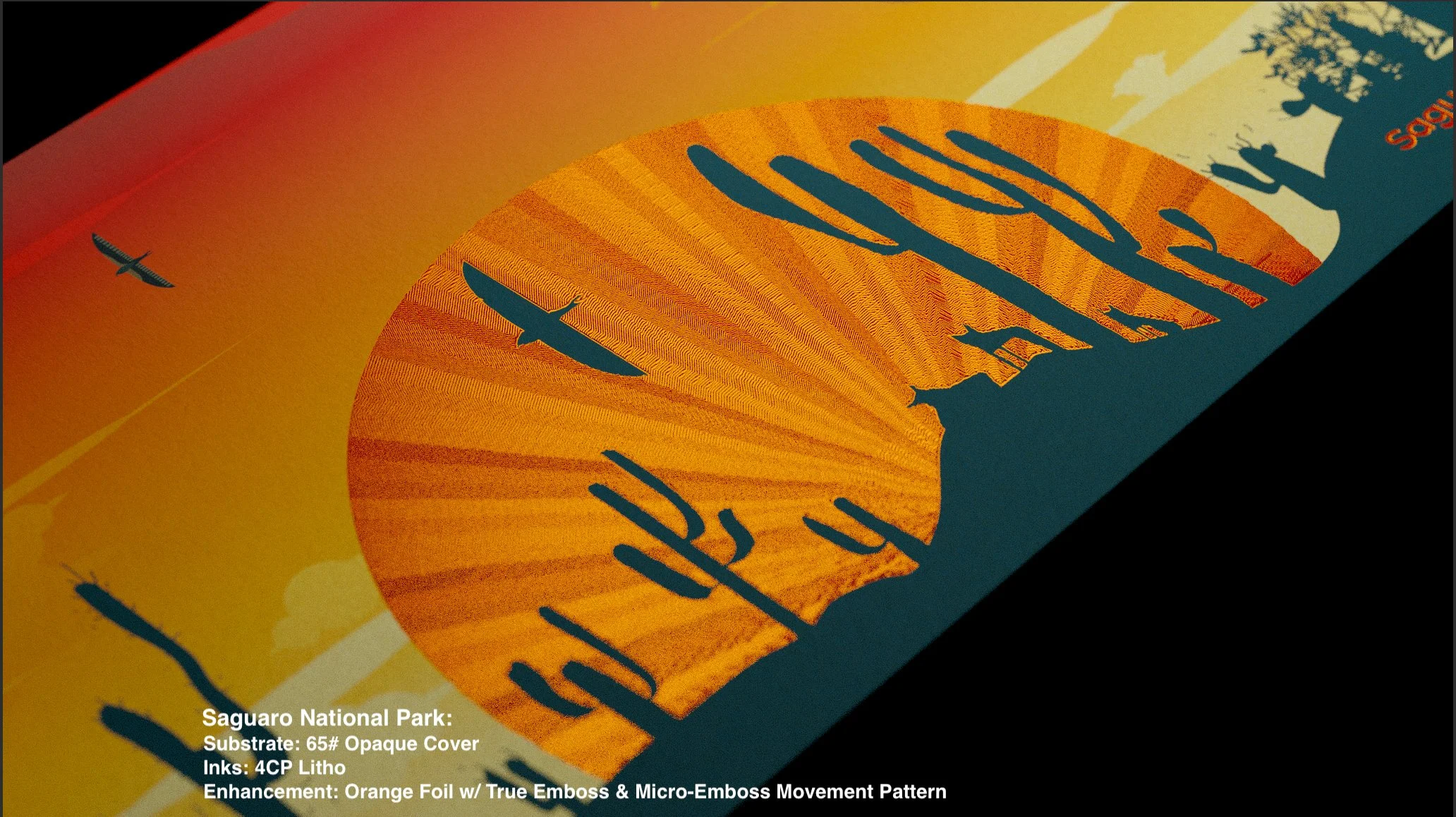 Print and Envelope Design Portfolio | Parkland Direct