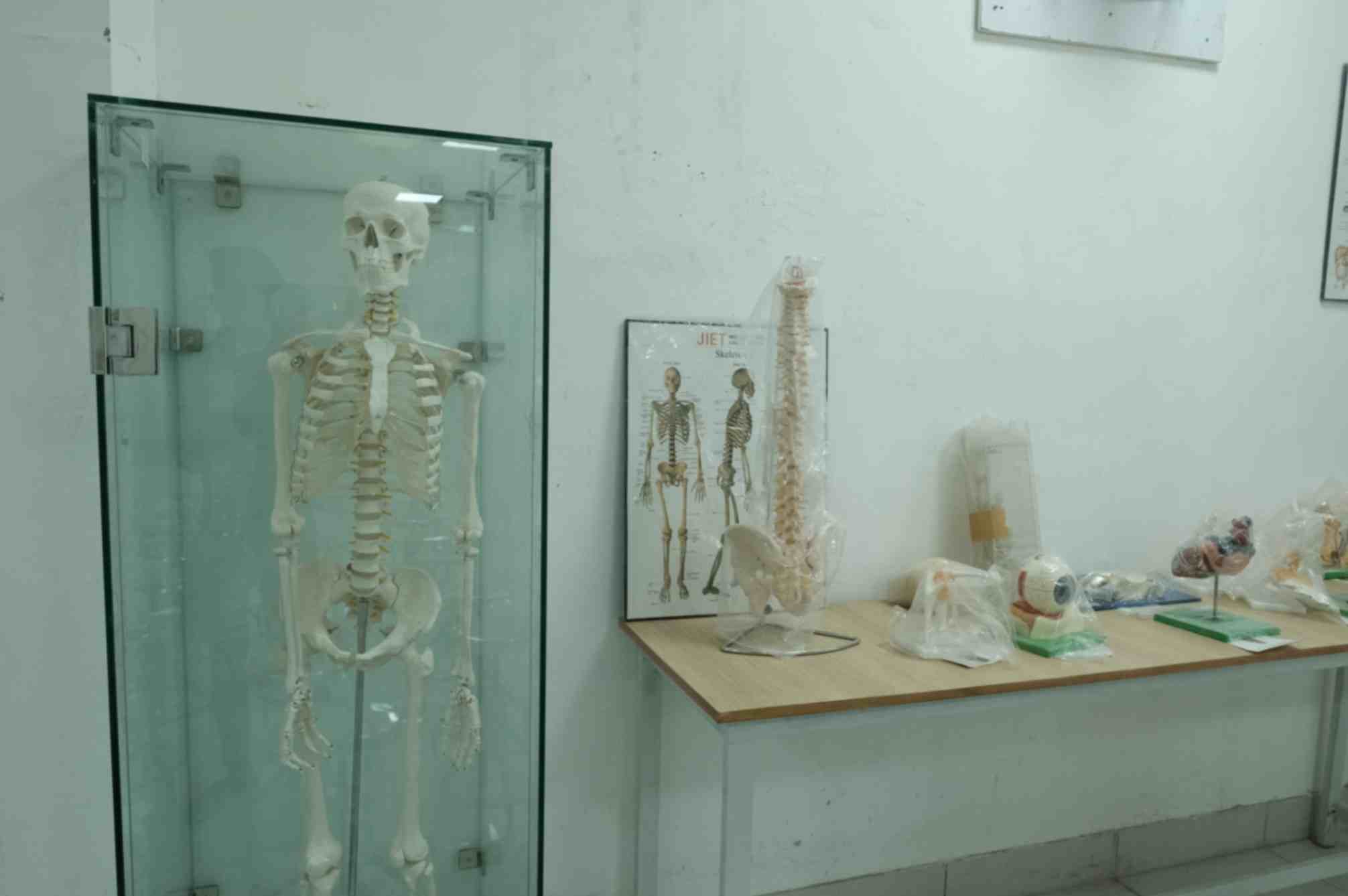 Anatomy Department at JIET Medical College | Visit Website